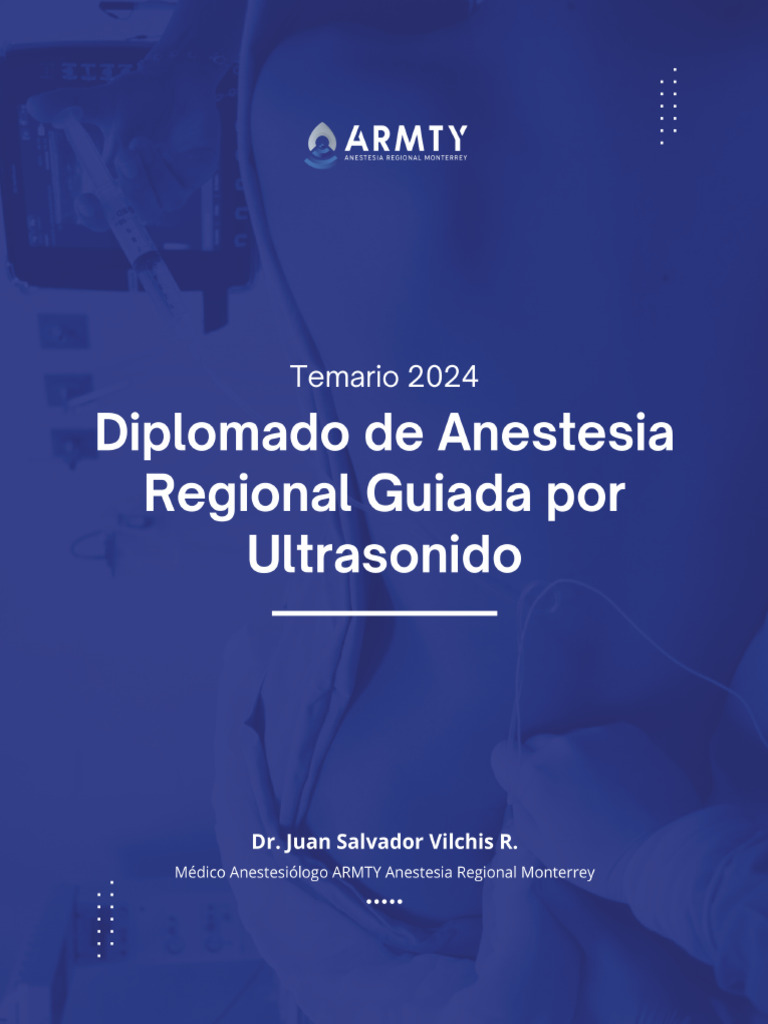 Armty - 2024 | PDF