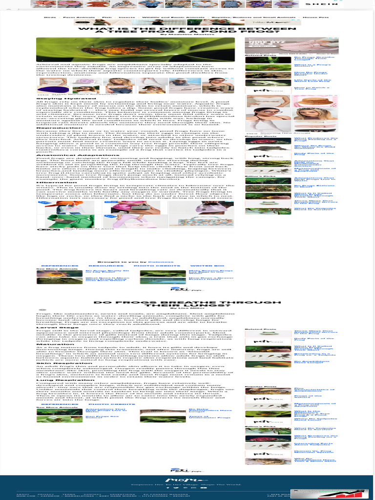 Tree Frog vs. Pond Frog Differences | PDF | Frog | Amphibian