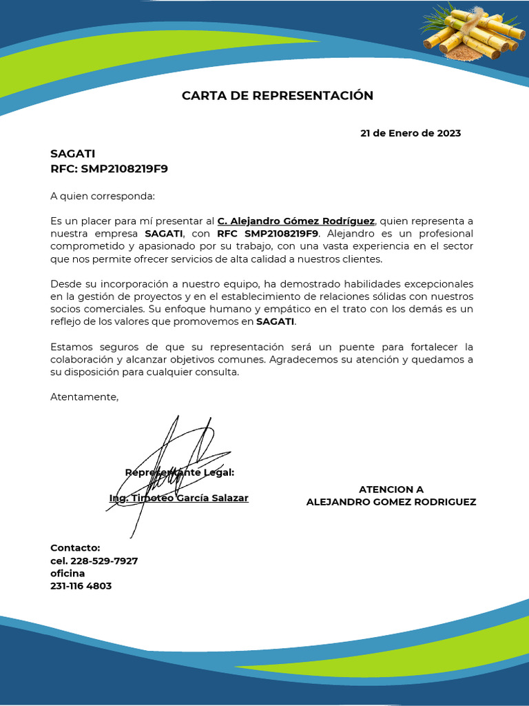 Carta de Representación | PDF