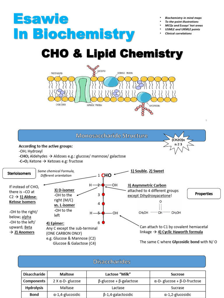 CHO and LIPID Chemistry (2) | PDF | Carbohydrates | Lipid
