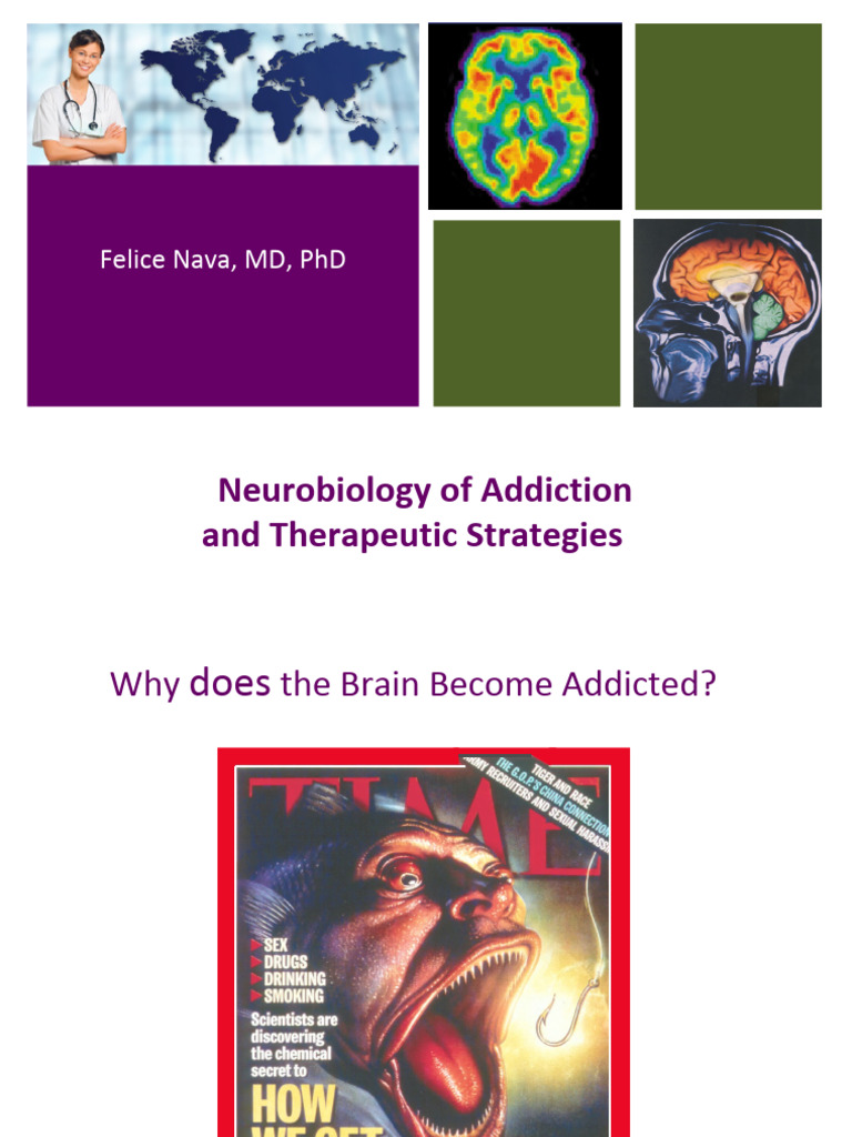 Neurobiology and Treatment of Addiction | PDF | Opioid Use Disorder ...