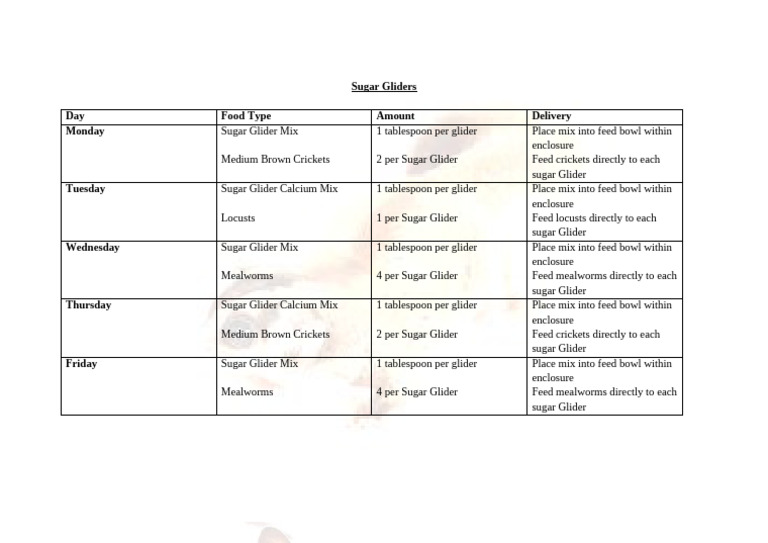 Sugar Glider Feeding Schedule Guide | PDF