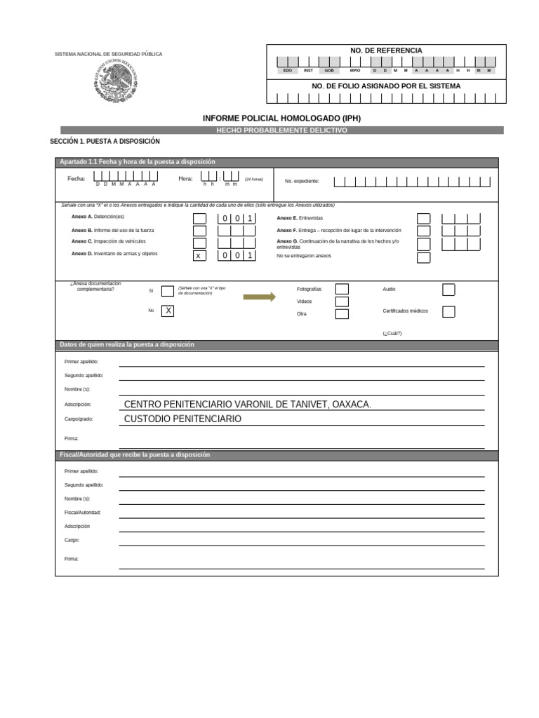 Iph 10 de Febrero Del 2024 | PDF | Armas de fuego | Revista (armas de ...