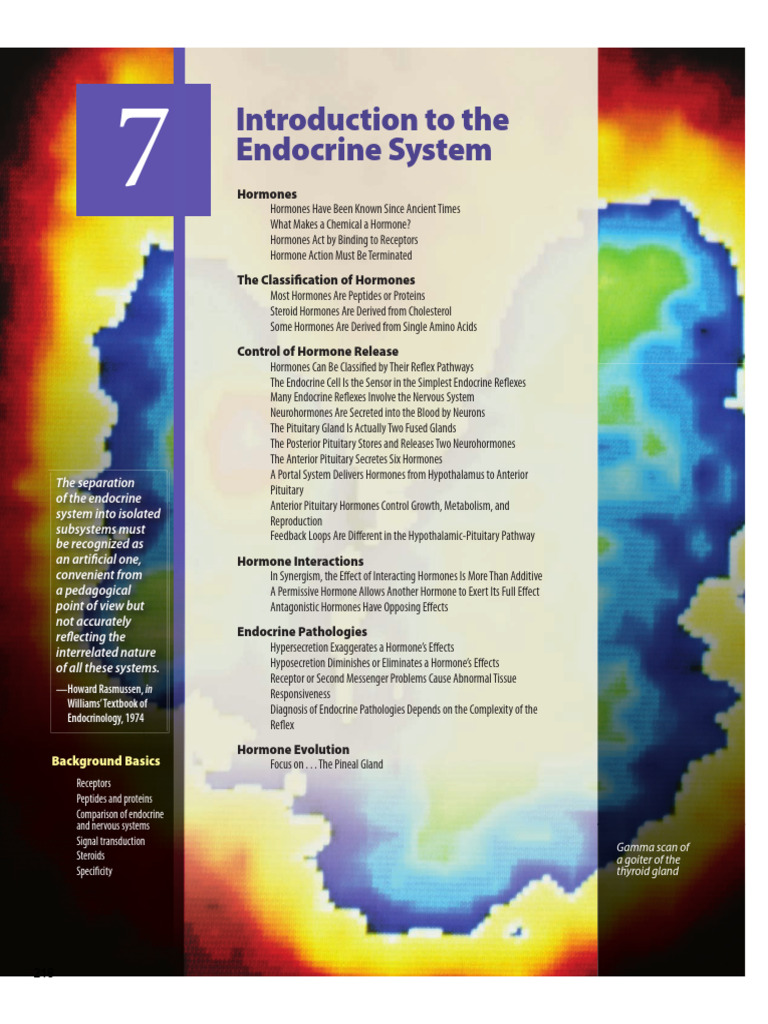 7 Introduction To The Endocrin System | PDF | Hormone | Endoplasmic ...