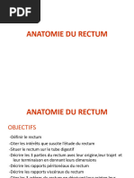 Anatomie des reins et leur vascularisation | PDF | Rein | Foie