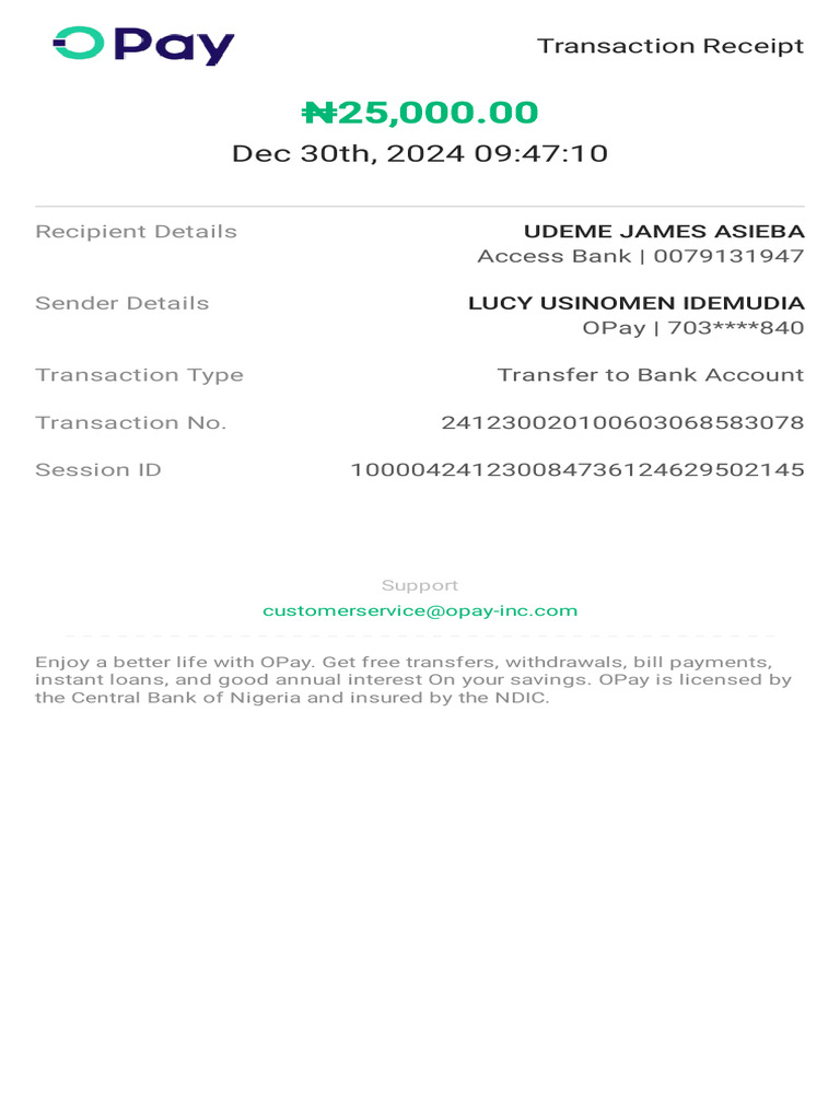 OPay Transaction Receipt | PDF