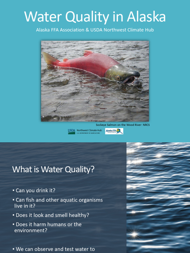 Water Quality in Alaska | PDF | Water | Water Quality