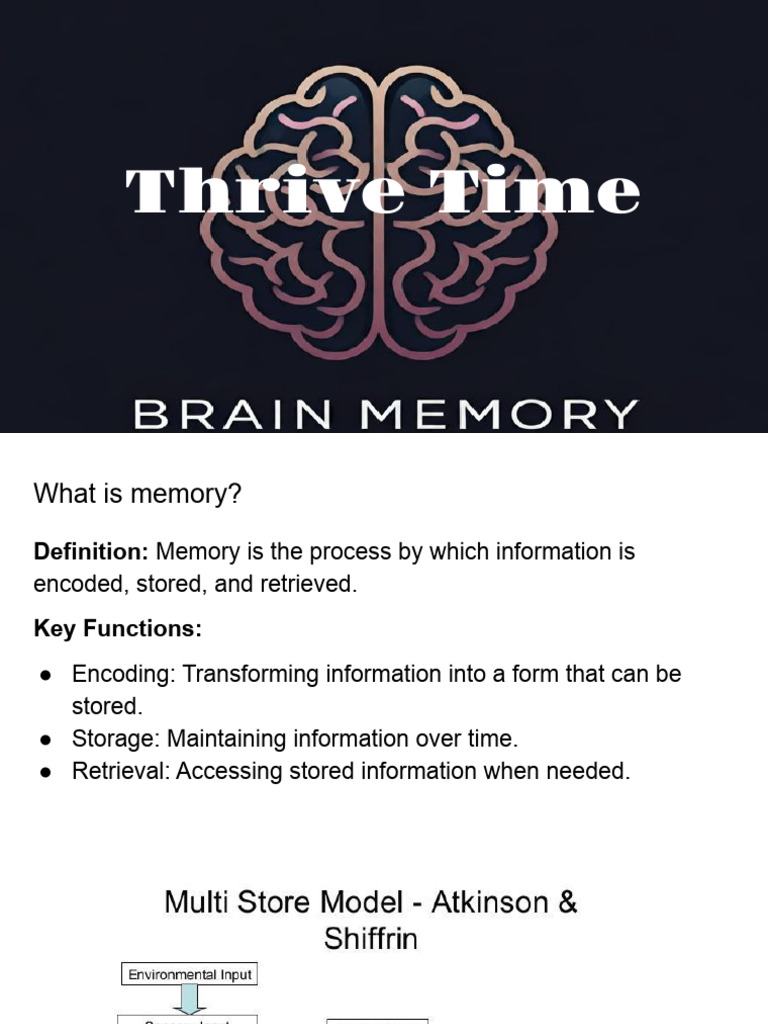 Memory Thrive Time | PDF