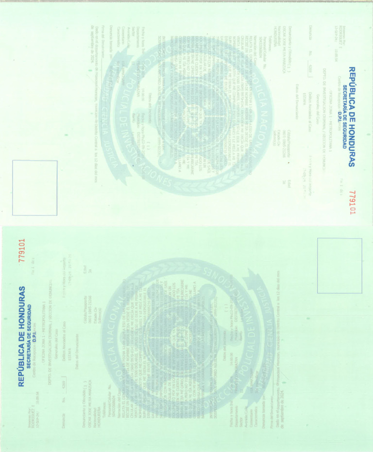 0120 001 240913 132833 | PDF