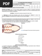 Structure des branchies des poissons | PDF | Branchie | Système ...
