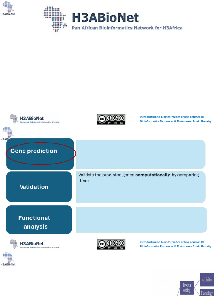 Module 1 - Session 3 - Part 3 | PDF | Open Reading Frame | Gene
