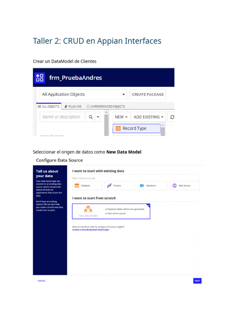 Taller 2 - Appian CRUD (1) | PDF