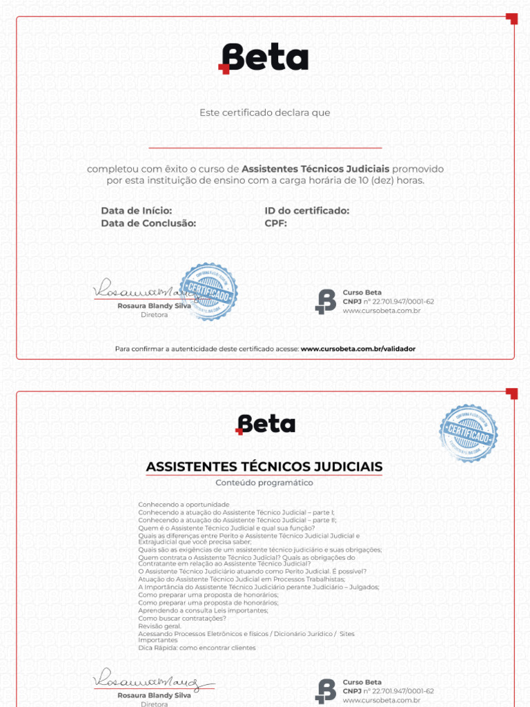 assistente técnico | PDF