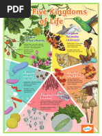 Biodiversity and Classification Grade 10 | PDF