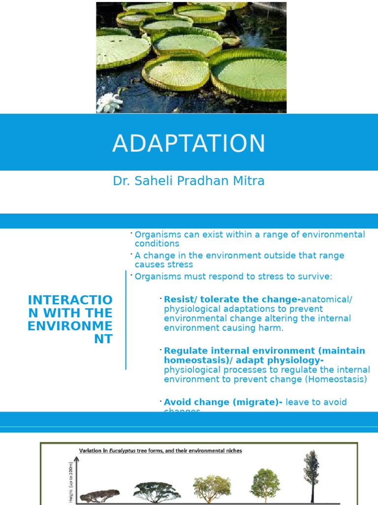 Adaptation | PDF | Leaf | Tissue (Biology)