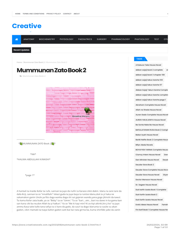 Mummunan Zato Book 2 - Creative Novels | PDF