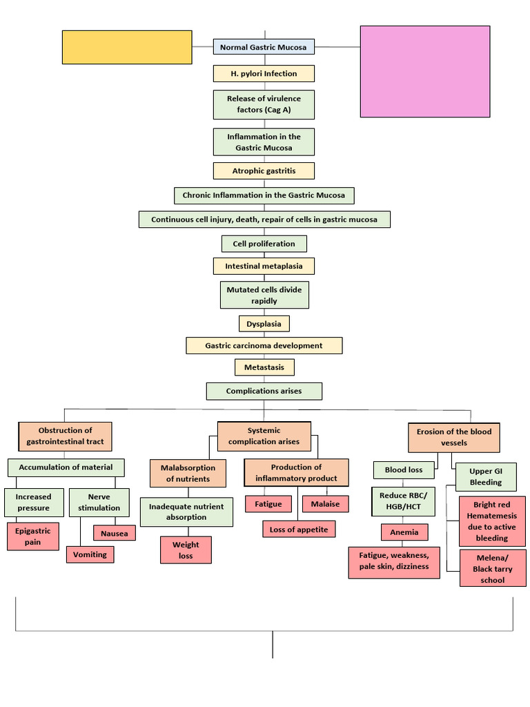 SAM PATO | PDF | Diseases And Disorders | Medical Specialties