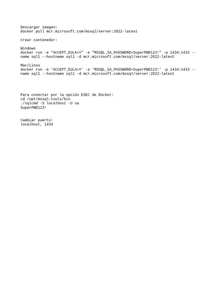 02-Install Containers for SQL Server - 02 - Terminal RUN | PDF