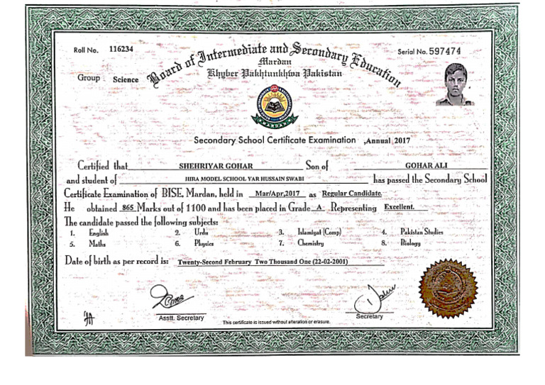 matric certificate | PDF