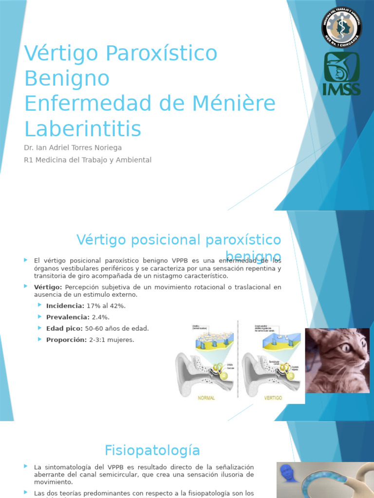 Vértigo: Diagnóstico y Tratamiento Efectivo | PDF | La enfermedad de ...
