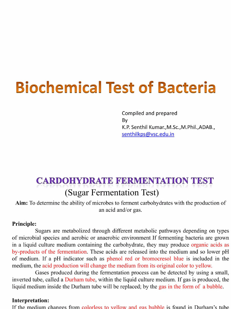 Biochemical Tests | PDF