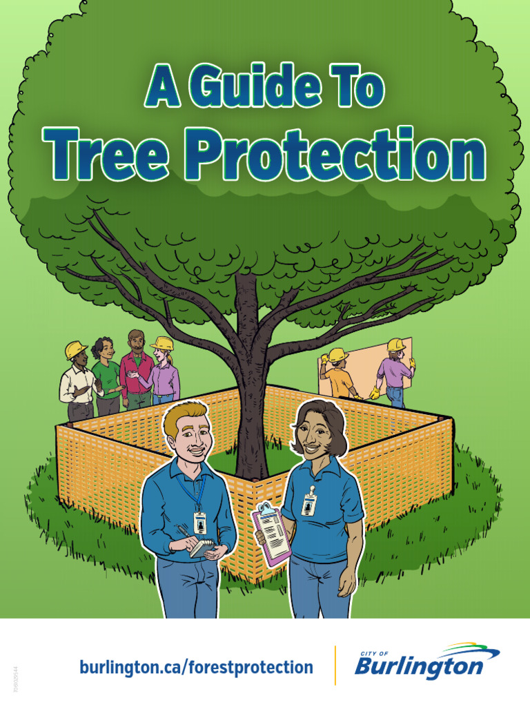 Burlington Guide-to-Tree-Protection | PDF | Trees | Pruning
