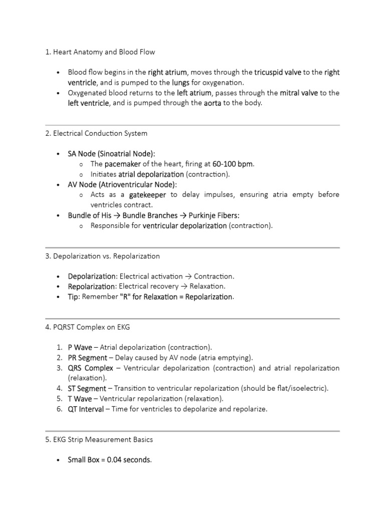 Ekg Basics and Interpretation | PDF | Electrocardiography | Heart