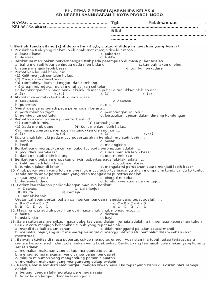 PH. Tema 7 IPA kls.6 | PDF