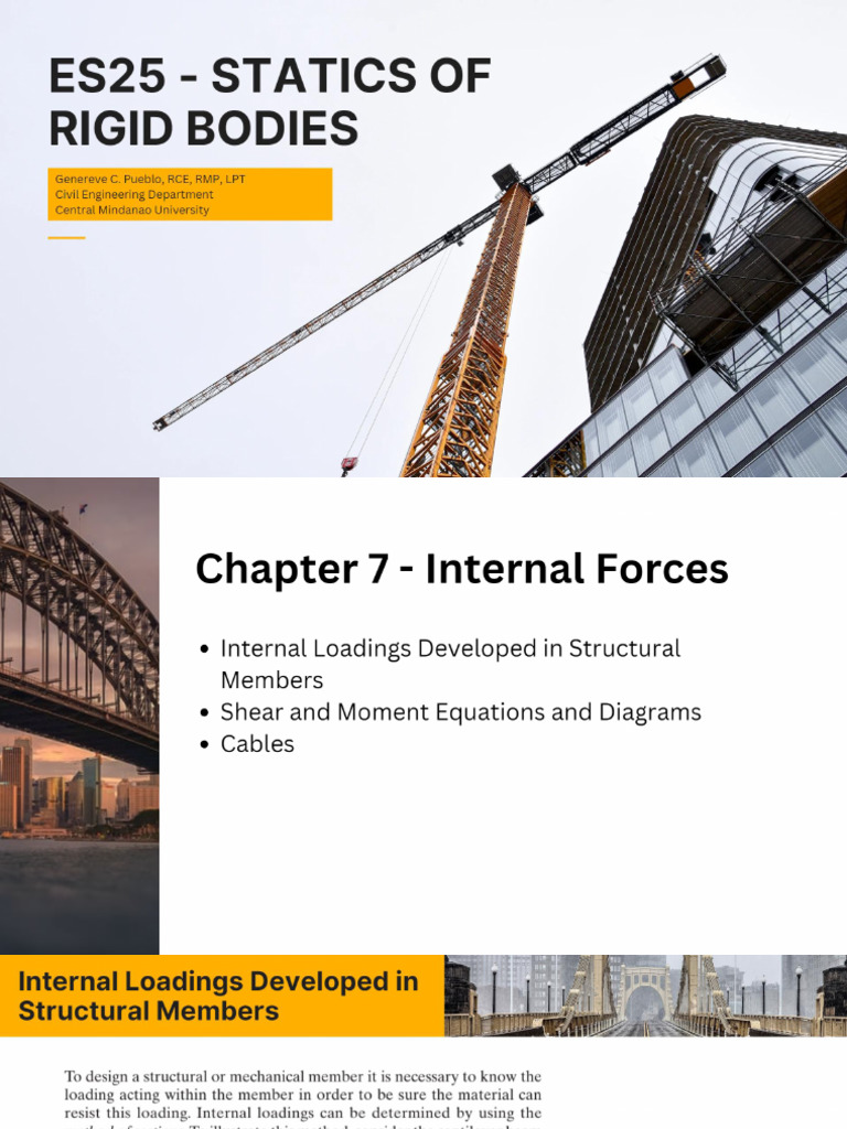 7 Internal Forces | PDF