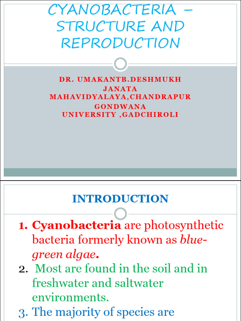 Cyanobacteria Structure and Reproduction MR Deshmukh | PDF ...