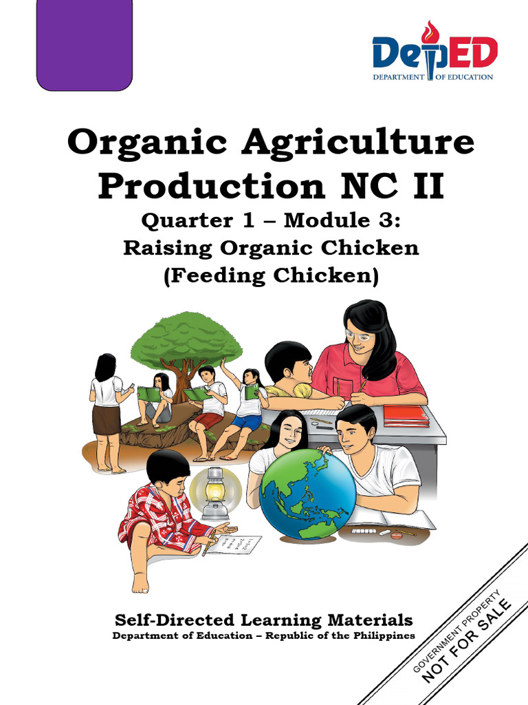 Organic_raising organic chicken_feeding chicken | PDF | Foods | Poultry ...