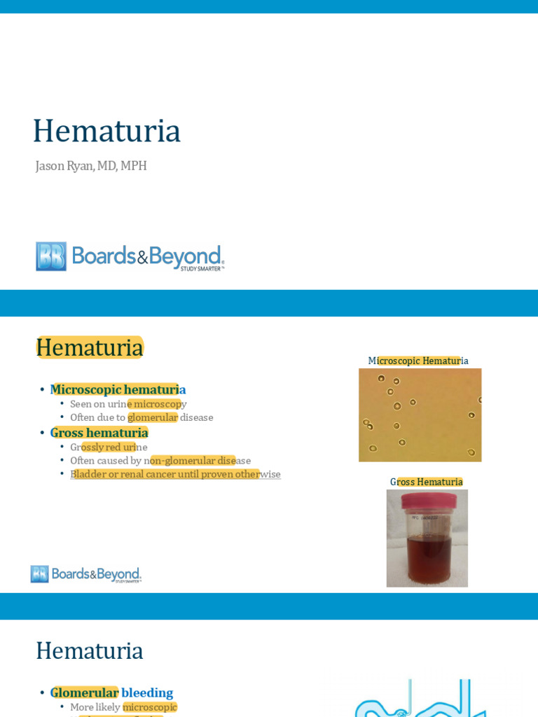 2. Hematuria atf | PDF | Organ (Anatomy) | Urology