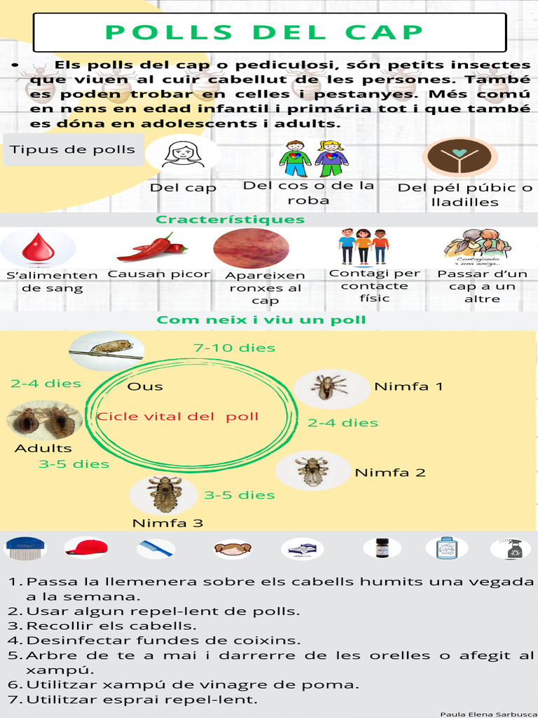 Cicle Vital Del Poll Paula I Rawane - 20240408 - 233754 - 0000 | PDF