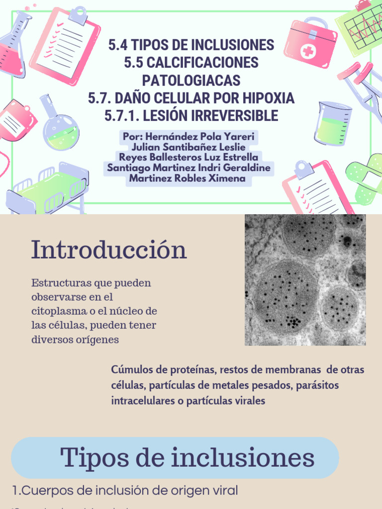Tipos de Inclusiones y Calcificaciones Patológicas | PDF | Biología ...
