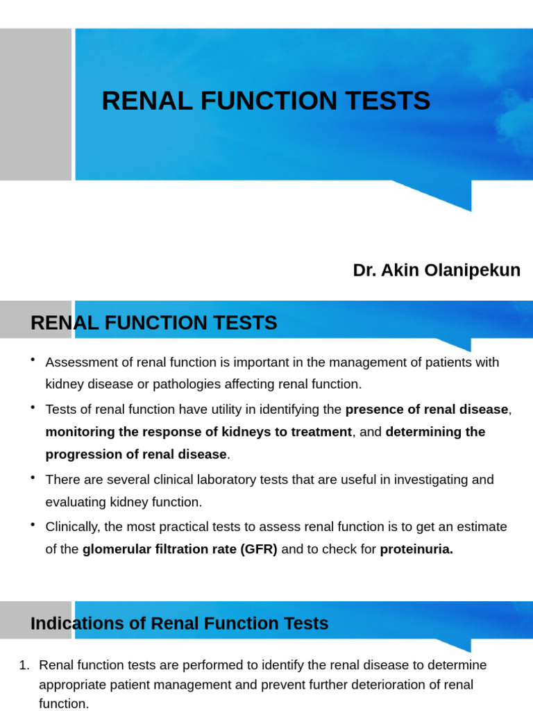 Renal Function Tests | PDF | Kidney | Urinary System