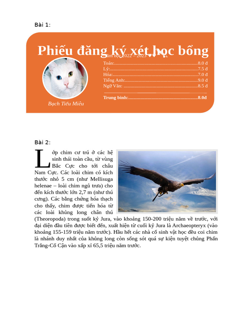 E-learning - 01 | PDF