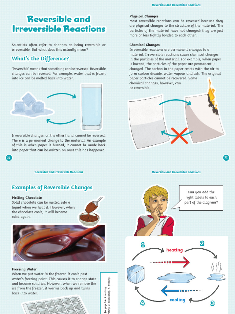 Ebook Printouts Reversible and Irreversible Changes | PDF | Rust | Water