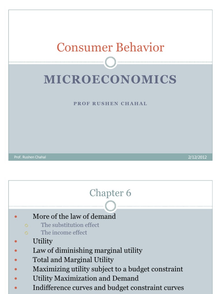 Micro Economics - Consumer Behavior | PDF | Utility | Demand