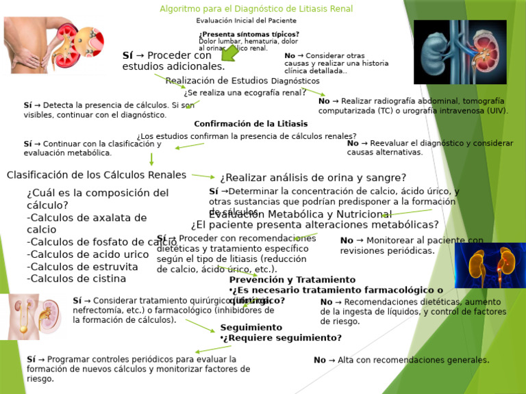 Litiasis Renal | PDF | Medicina CLINICA | Enfermedades y trastornos