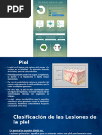 Lesiones Primarias de la Piel | PDF | Piel | Dermatología