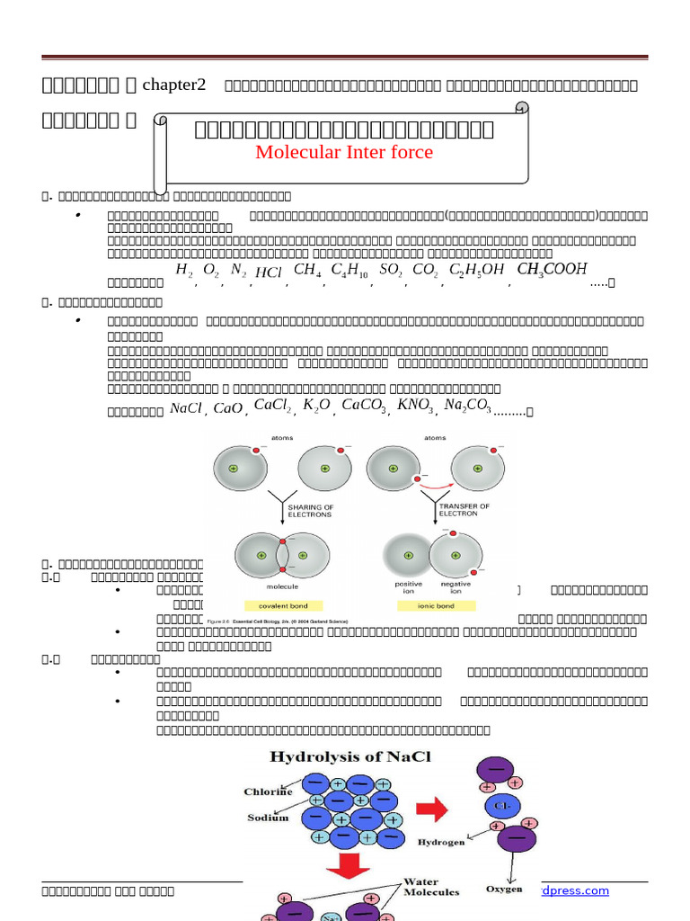 Chapter 2 Lesson 2 | PDF