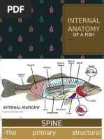 Fish Nares: Smell Mechanism Explained | PDF | Olfaction | Fish