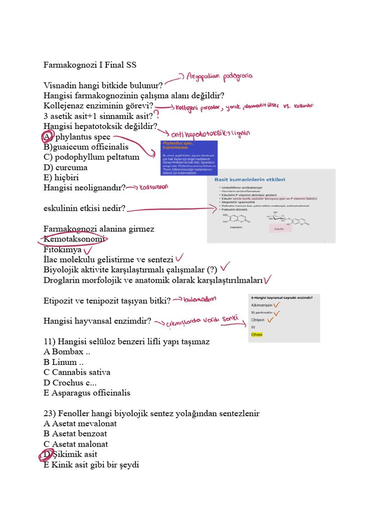Farmakognozi I Final SS - 2 | PDF
