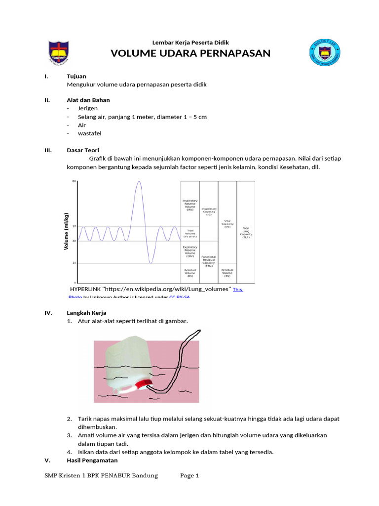 Volume Udara Pernapasan | PDF