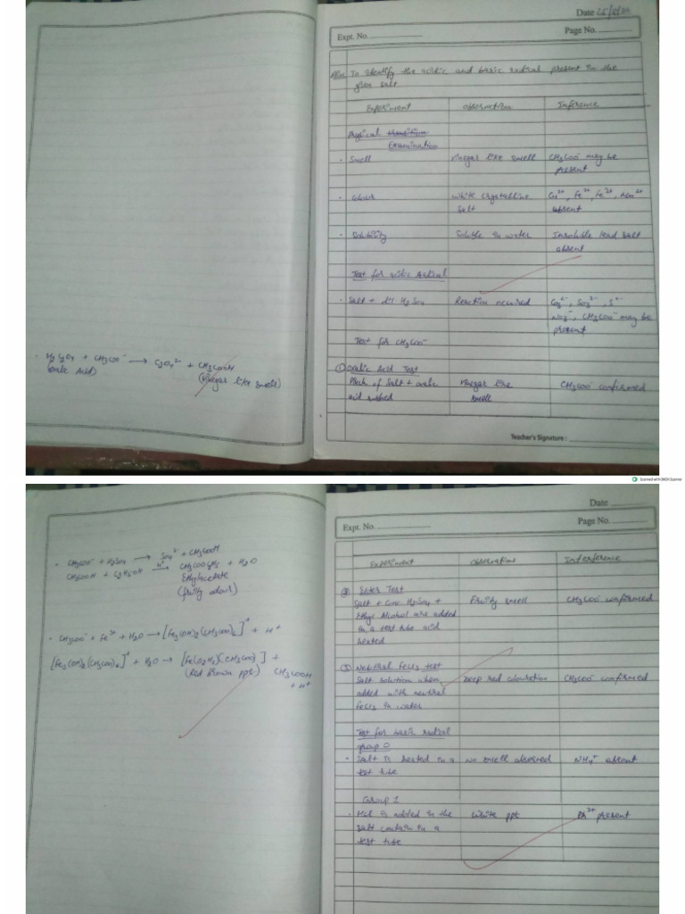 Class 12th Practical | PDF