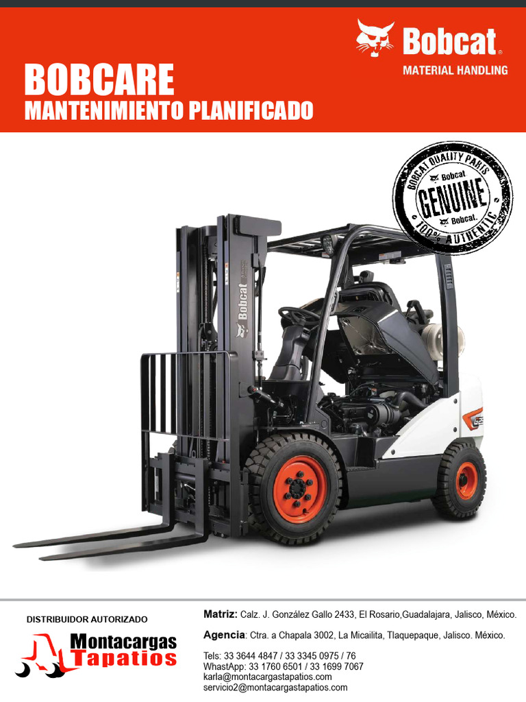 Bobcare | PDF | Economias