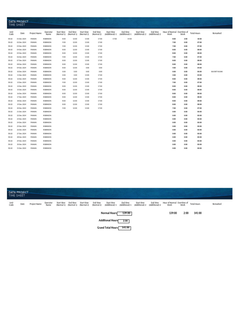 Time Sheets Ex02 Painan Robinson | PDF | Working Time | Employee Relations