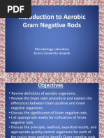 Aerobic Gram-Negative Rods Identification Flowchart | PDF | Gram ...