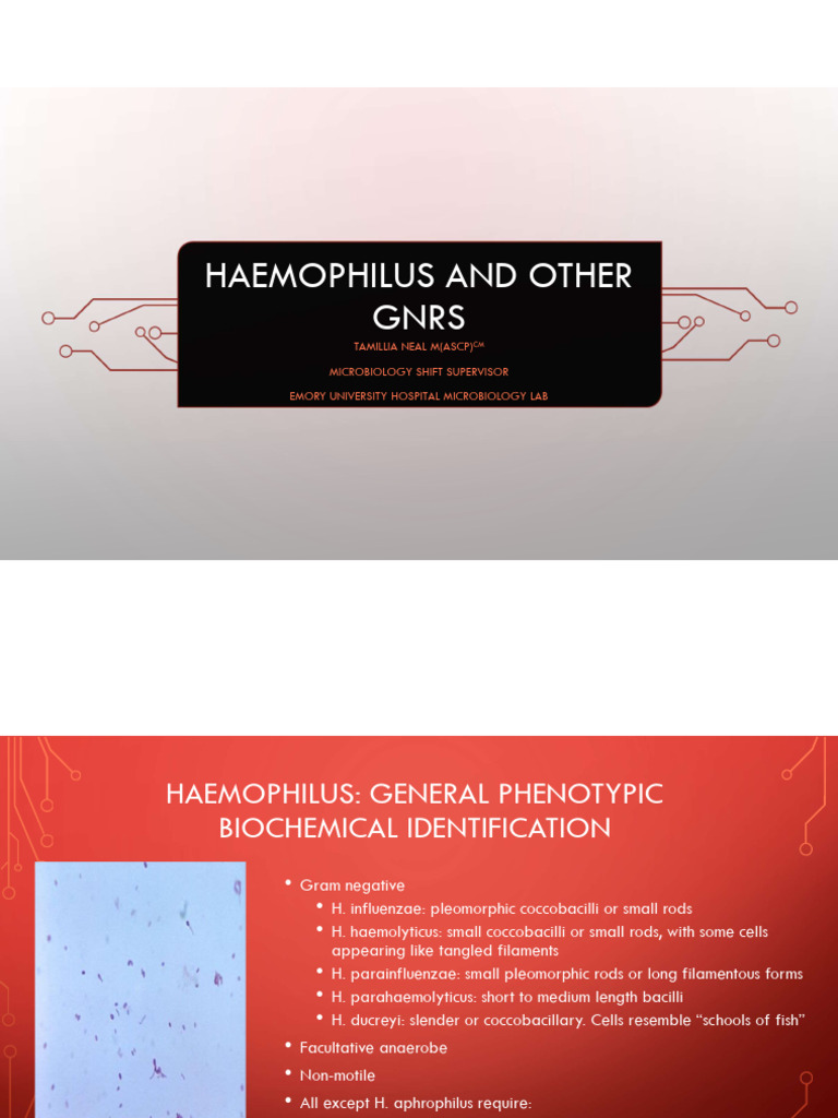 Haemophilus and Other GNR Lecture 2024 TN | PDF | Infection | Medical ...