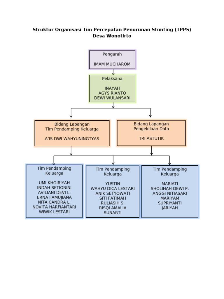 Struktur Organisasi Tim Percepatan Penurunan Stunting | PDF